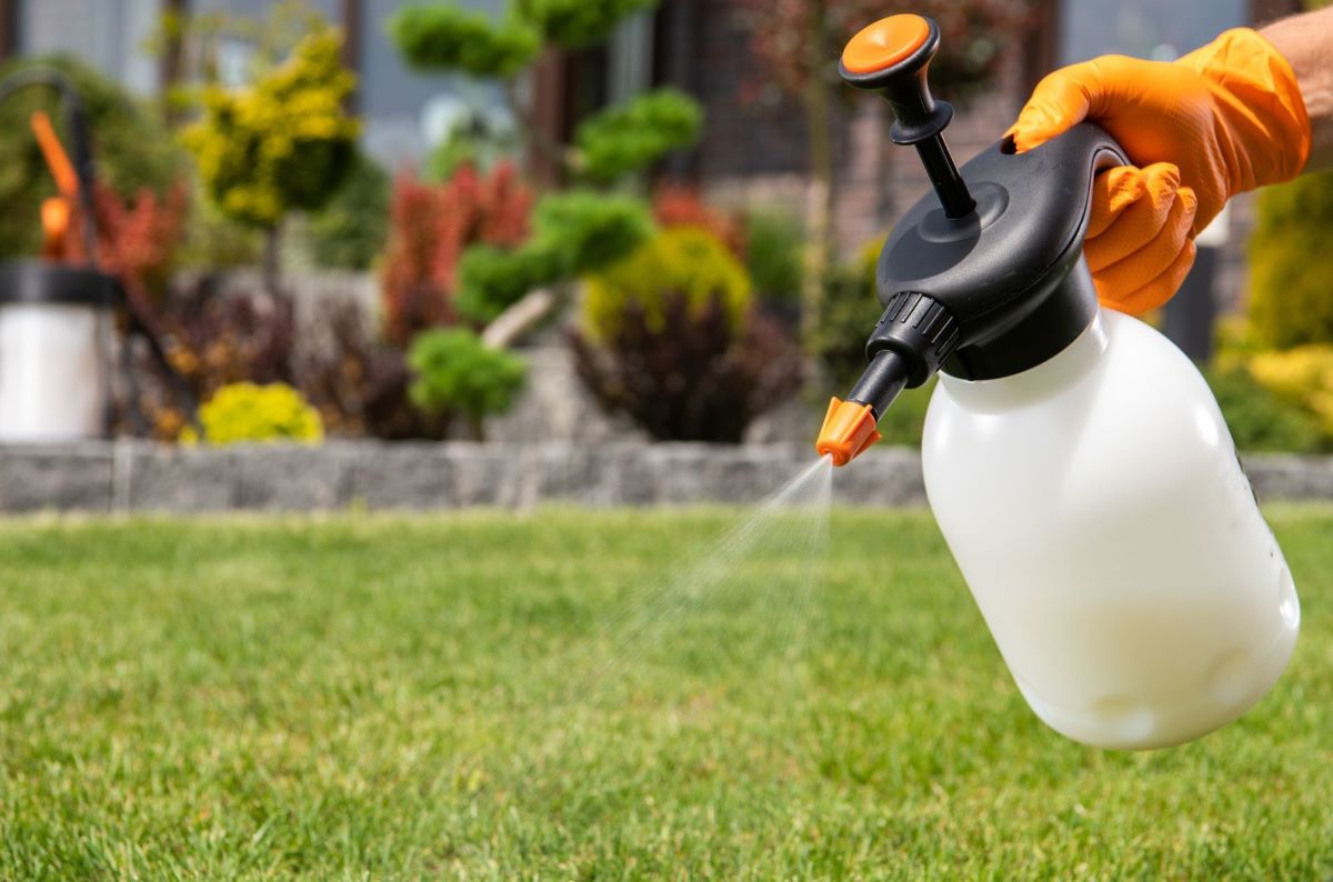 Pesticide Applicator Training | CSU